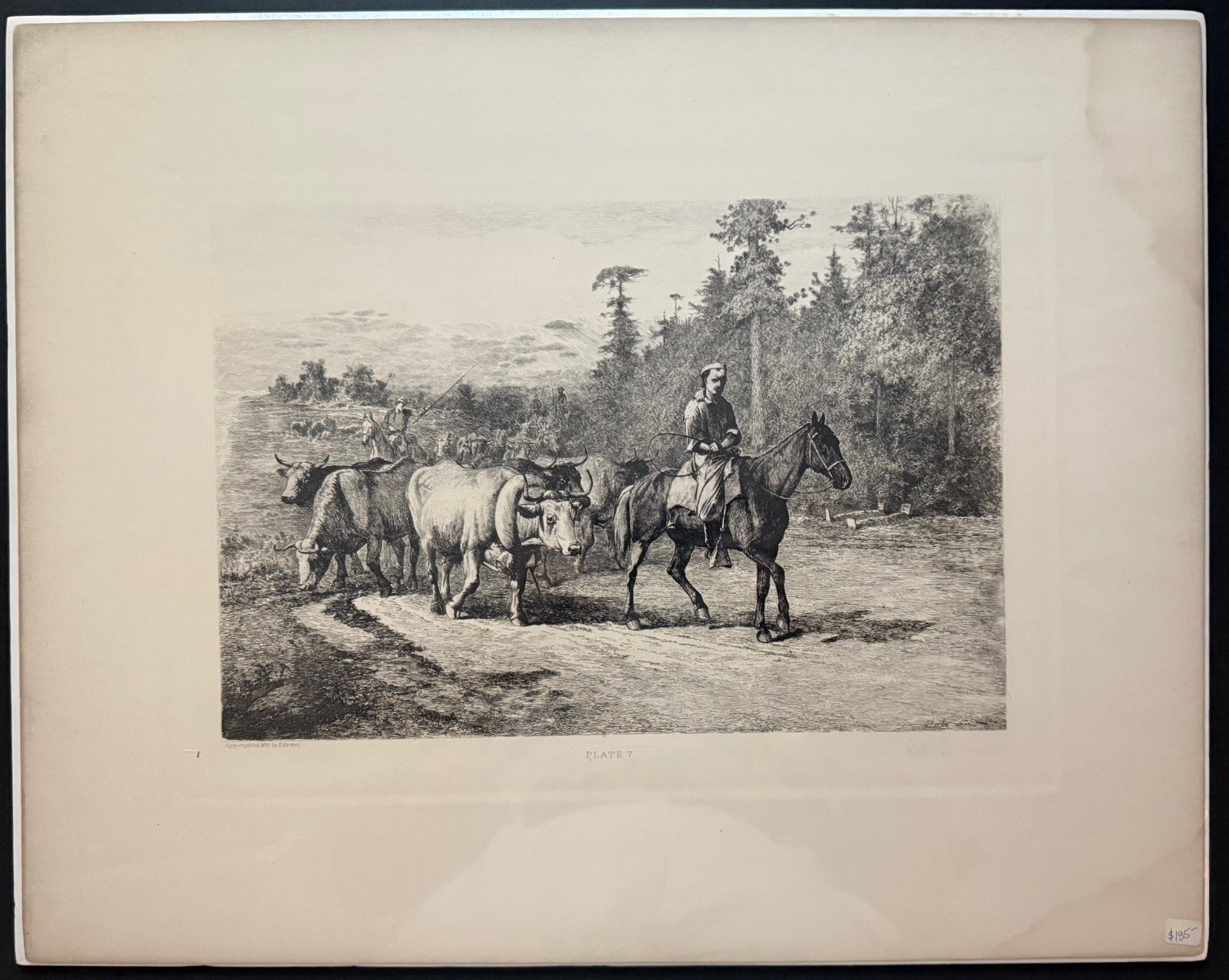Civil War Illustration: Edwin Forbes, 1876, Plate 7 – Princeton Audubon ...