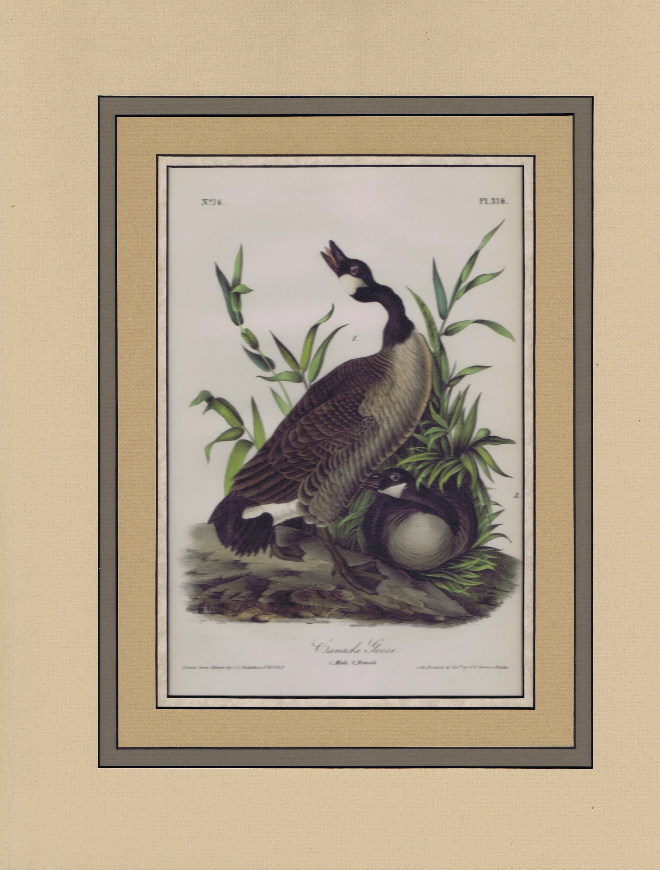 Collections – Signature Documents LLC